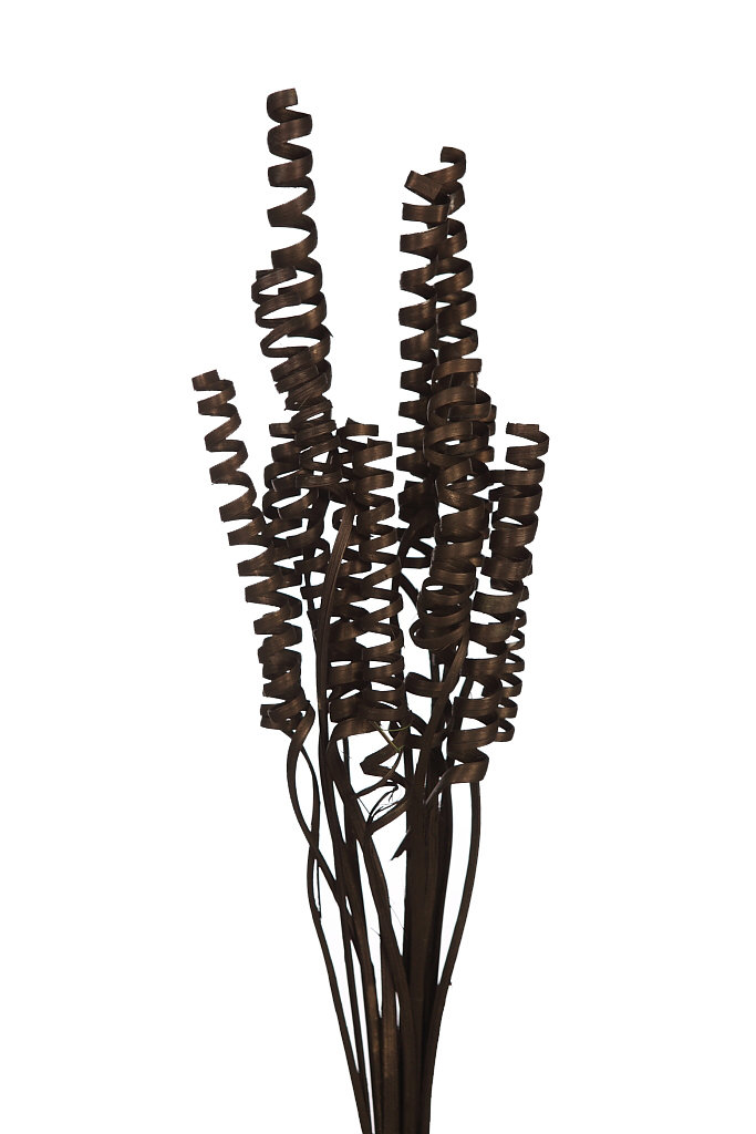 CANE SPRING X 15, 50 CM | andudecor.com