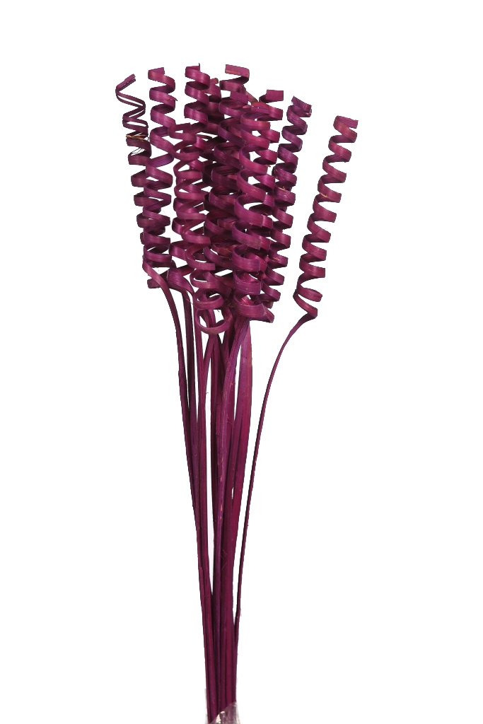 CANE SPRING X 15, 50 CM | andudecor.com